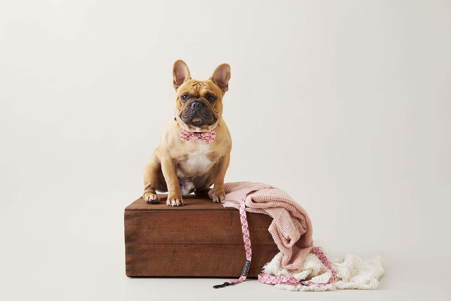 Animal & Pet Ecommerce Product Photography For Paws Pet Wear