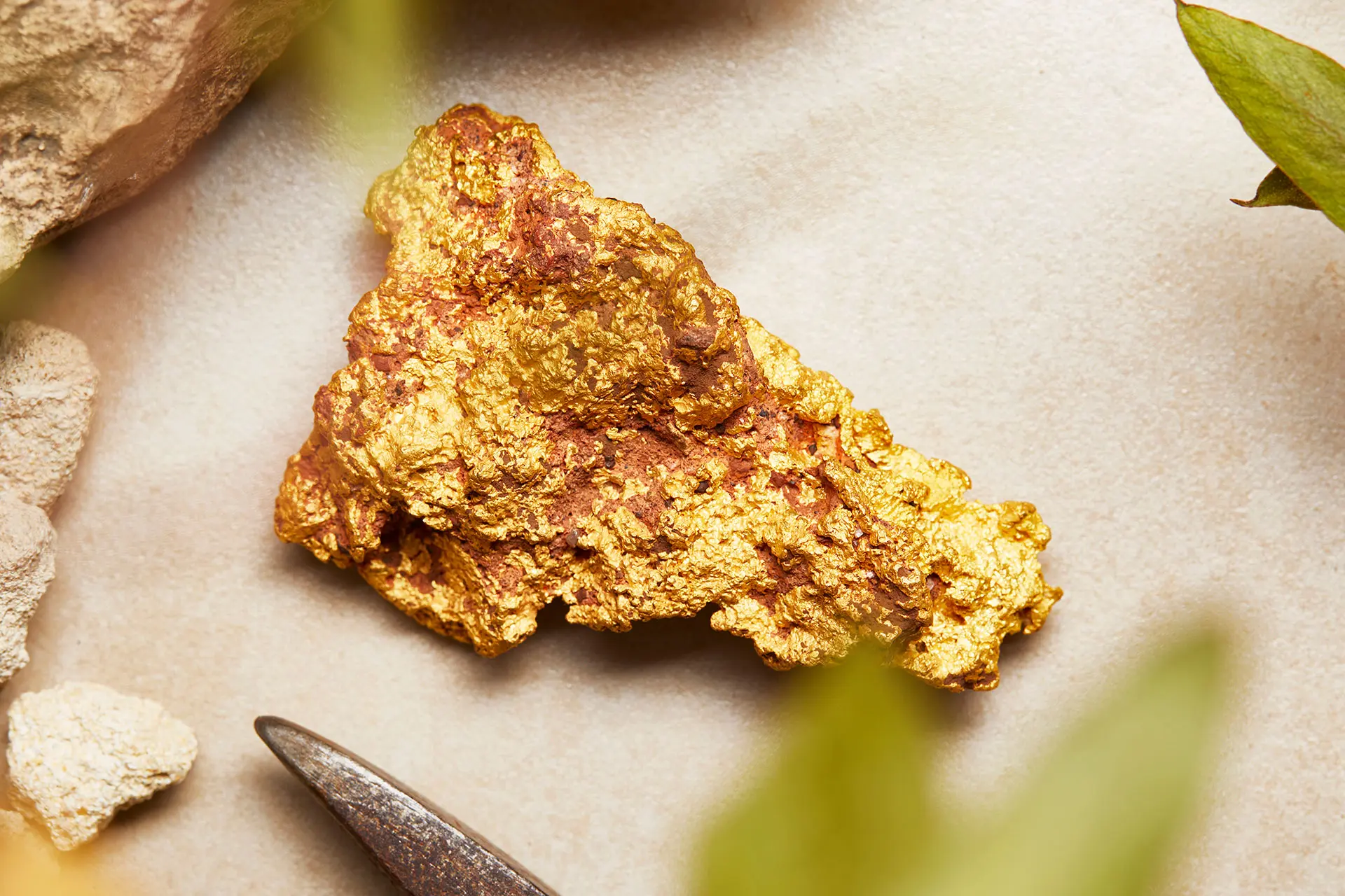 Gold Mining Annual Report Photography For White Cliff Minerals