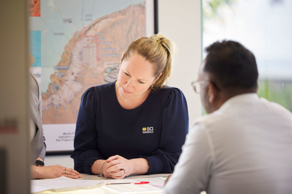 BCI Minerals